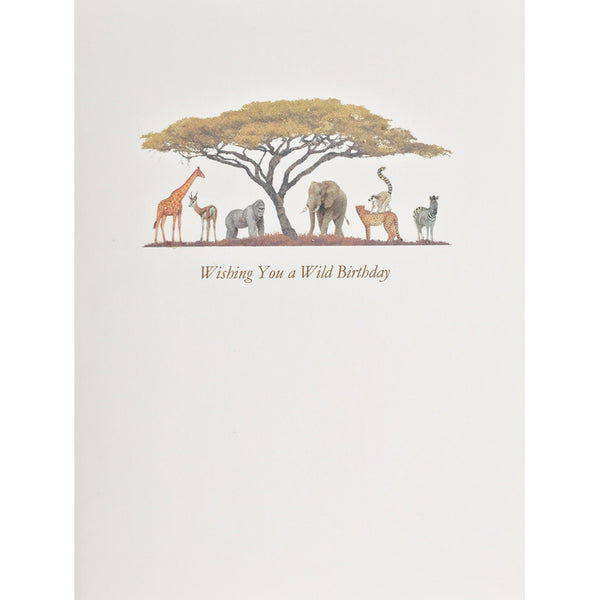 CB-58_Wild_Birthday_600x.jpg?v=1472174886